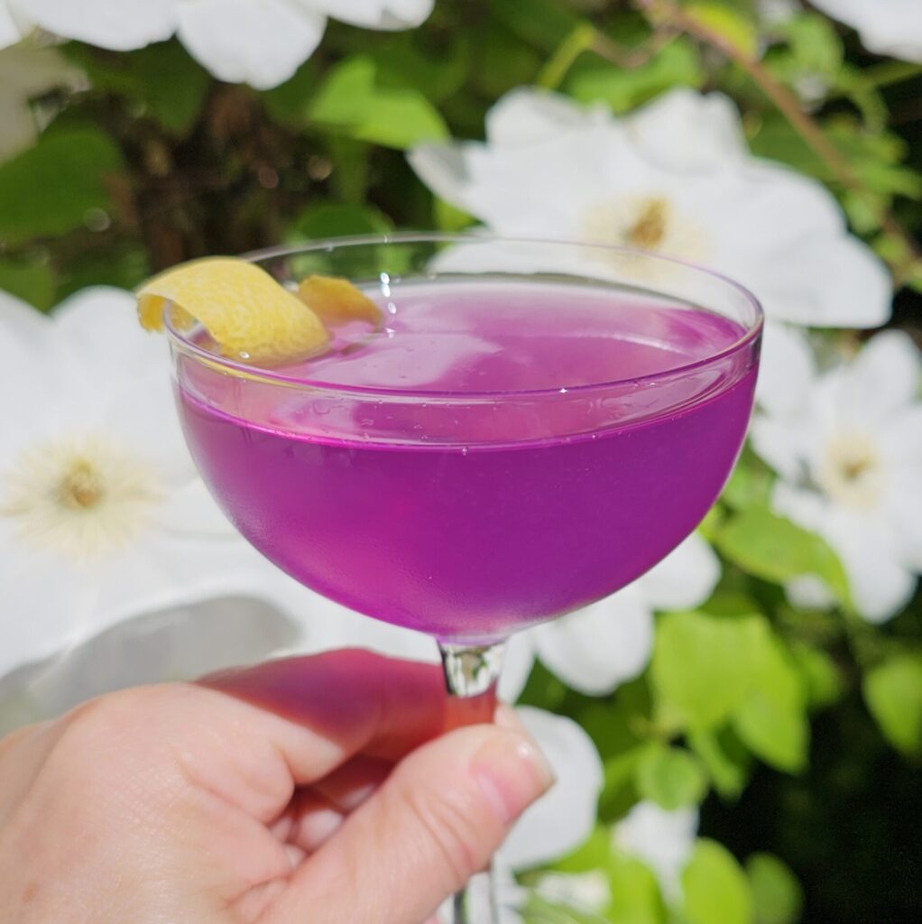 Dreamy 3-Part Butterfly Pea Flower Gin Sour Cocktail