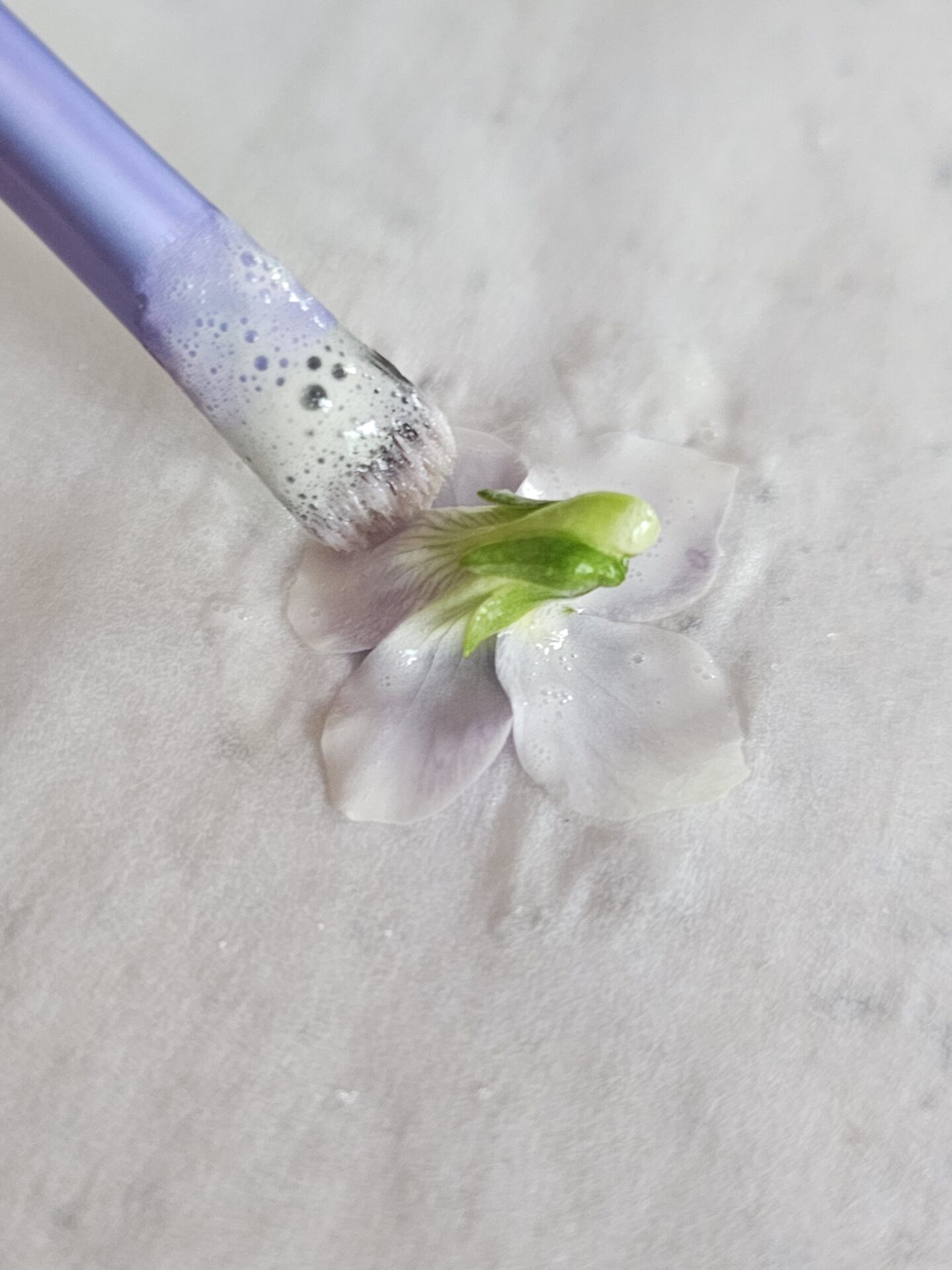 Elegantly Easy 4 Ingredient Candied Violets