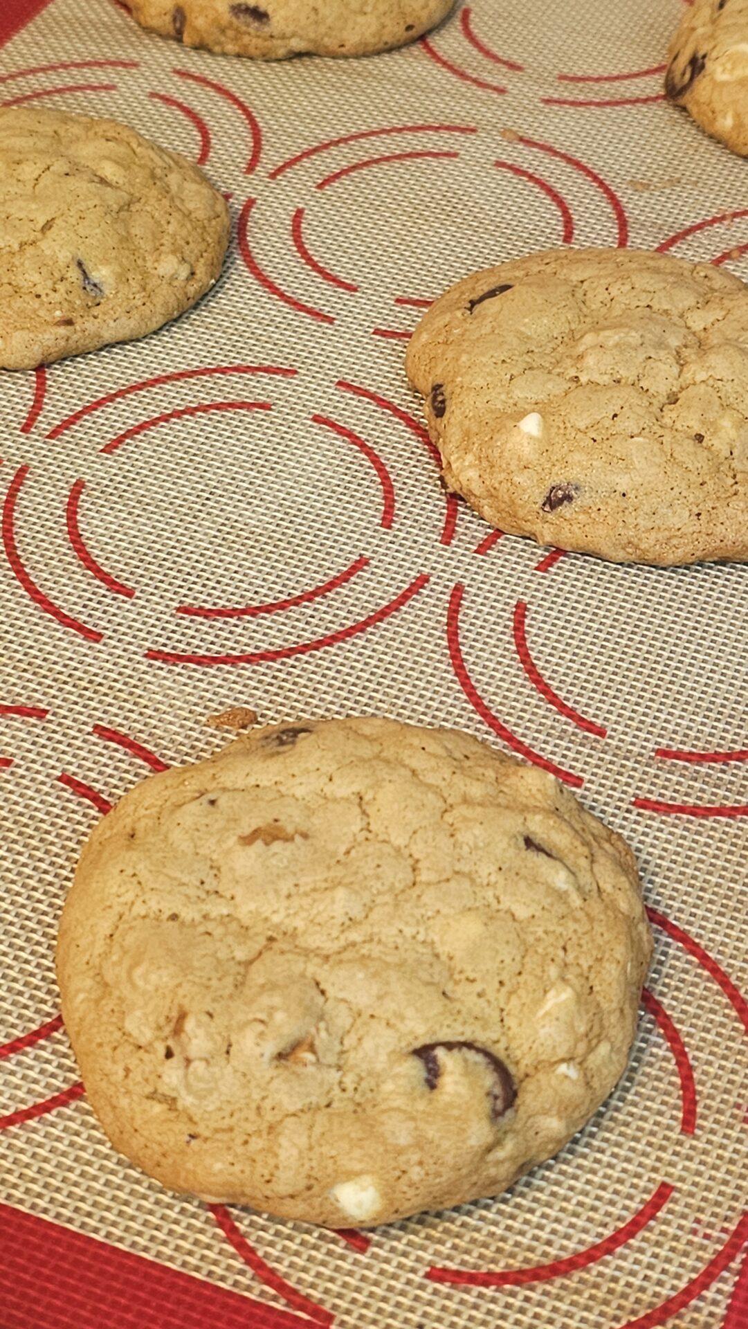 Easy Brown Butter Chocolate Chip Cookies in Under 1 Hour